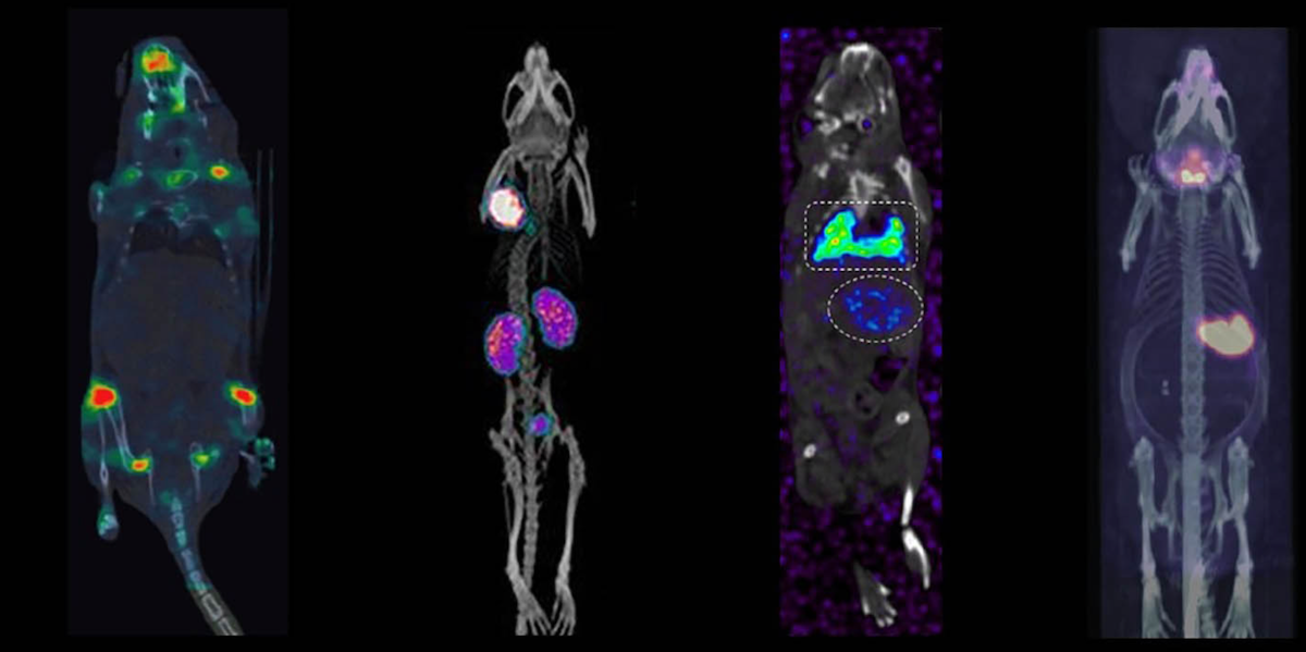 MILabs – Locapes Investment Fund